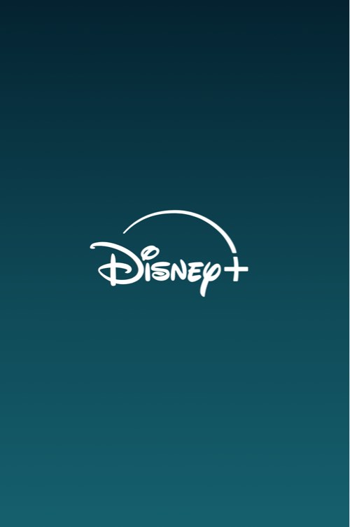 Disneyplus sharing, Everything Else on Carousell