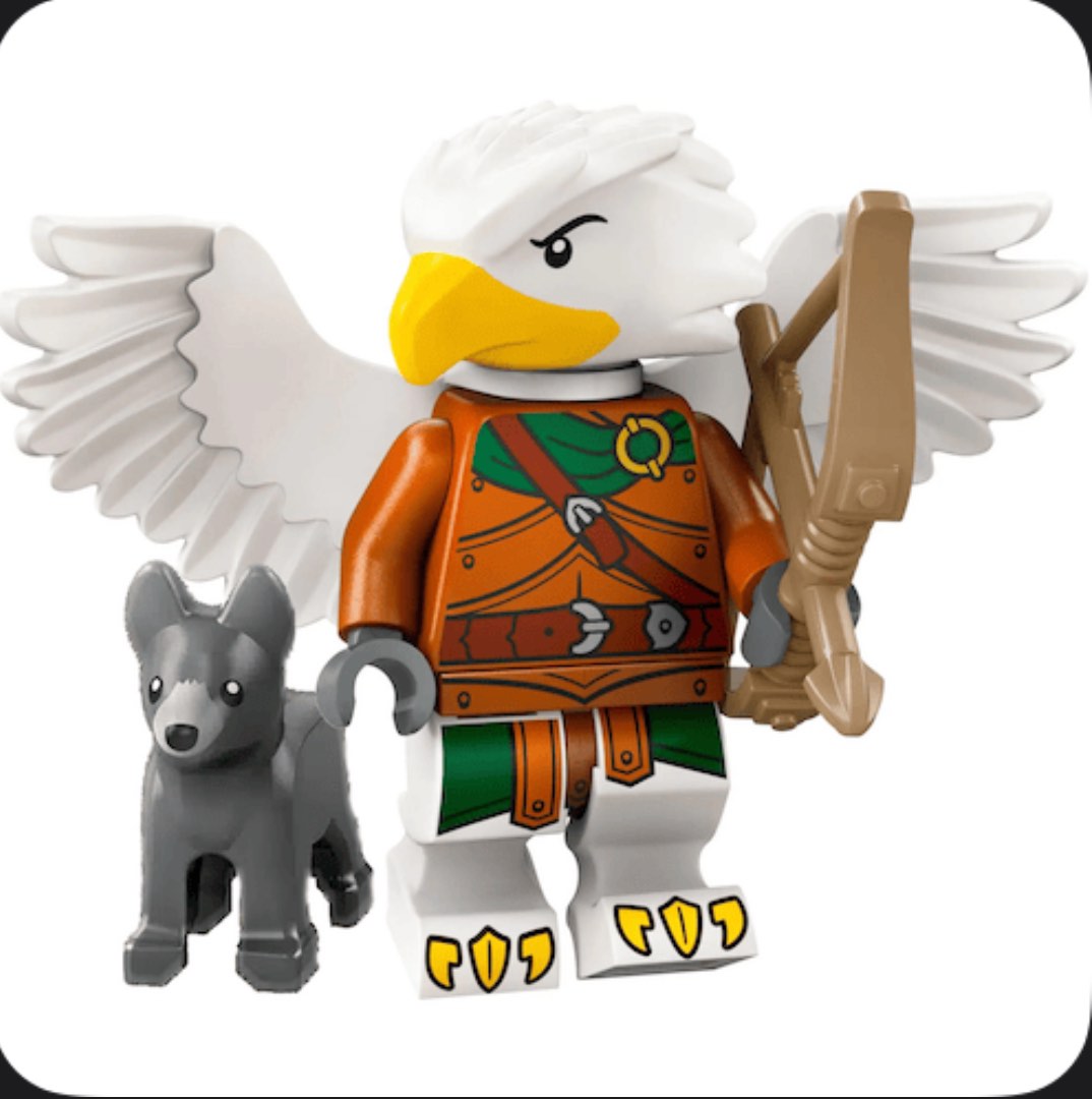 Lego CMF dungeons and dragons minifig 71047, Hobbies & Toys, Toys ...