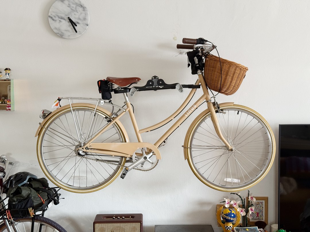 Linus Dutch 3i with Brooks saddle, Sports Equipment, Bicycles & Parts ...