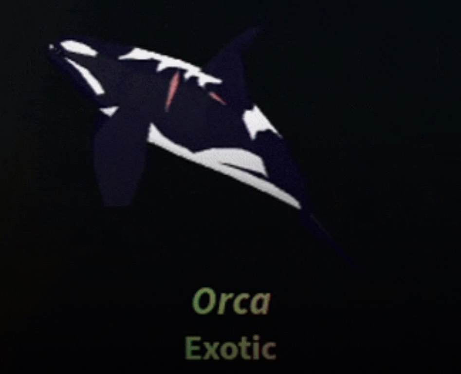 Roblox fisch orca, Video Gaming, Gaming Accessories, In-Game Products ...