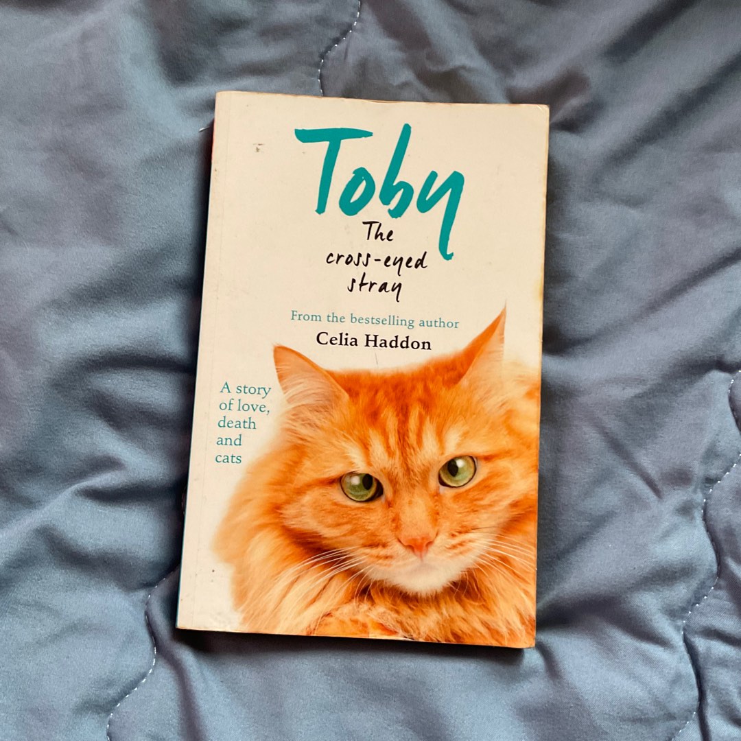 Toby The Cross-Eyed Stray, Hobbies & Toys, Books & Magazines ...