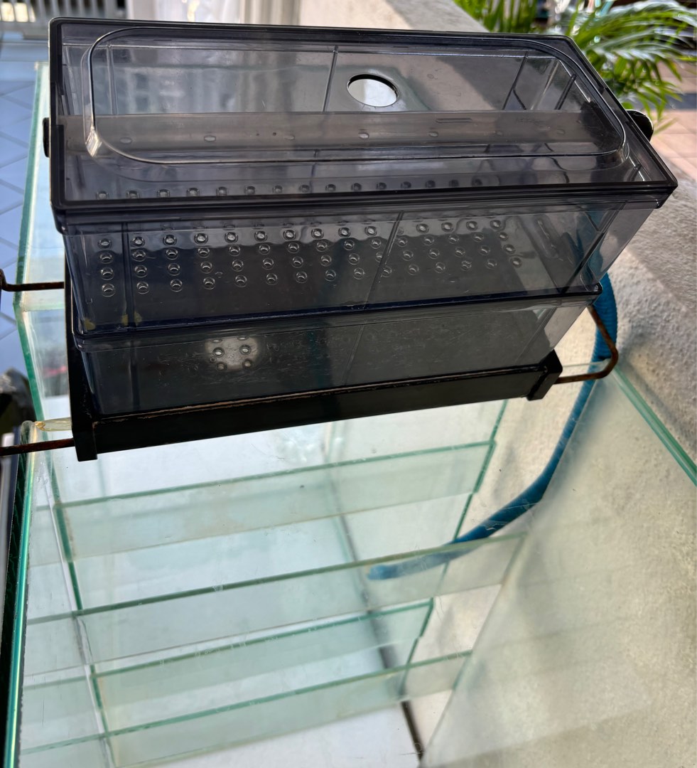 TRICKLE DRIP FILTER BOX AQUARIUM, Pet Supplies, Homes & Other Pet ...