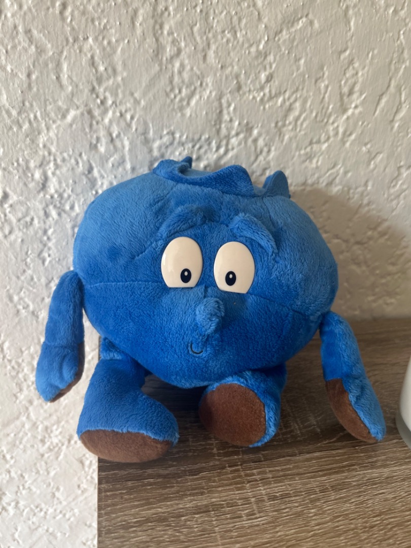 Goodness Gang Super Foodz Blueberry Plush Stuffed Toy, Hobbies & Toys ...