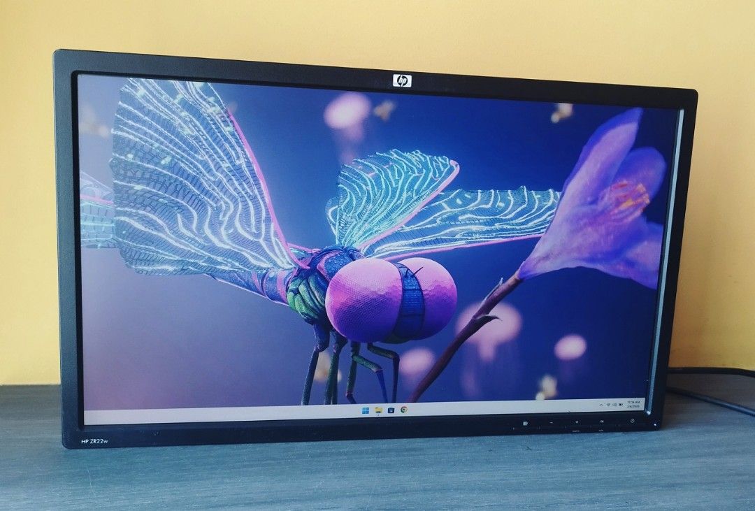 HP 22-inch FHD (1920*1080) IPS Widescreen Monitor, Professional ...