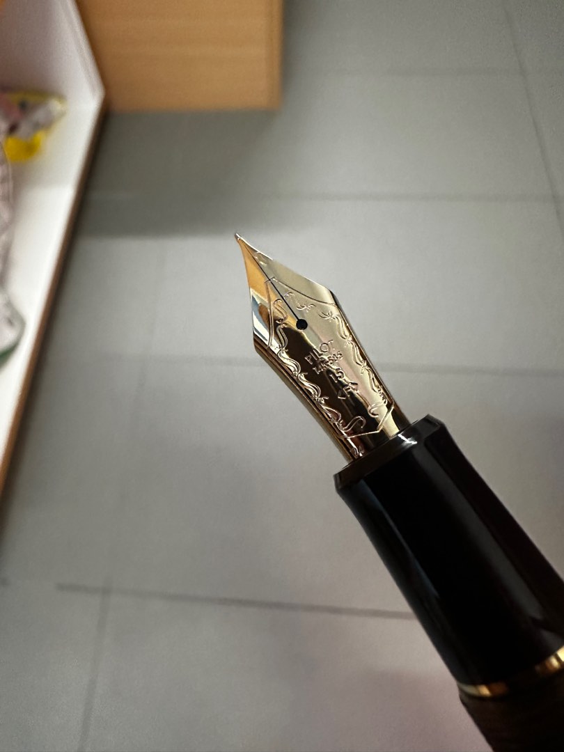 Pilot Custom 823 Fountain Pen - F nib, Hobbies & Toys, Stationery ...