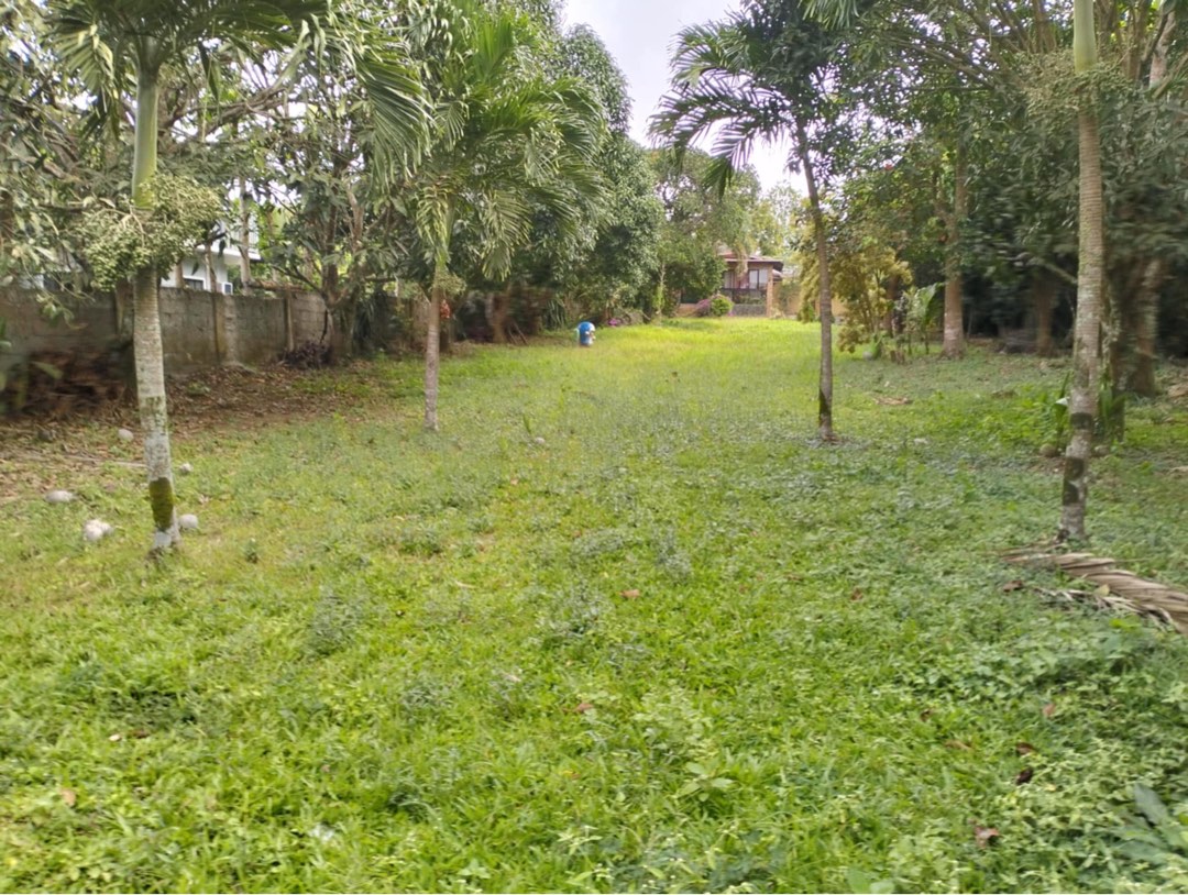PRIME 2,011 SQM LOT FOR SALE IN MARAHAN 2, ALFONSO, CAVITE!, Property, For Sale, Lot on Carousell