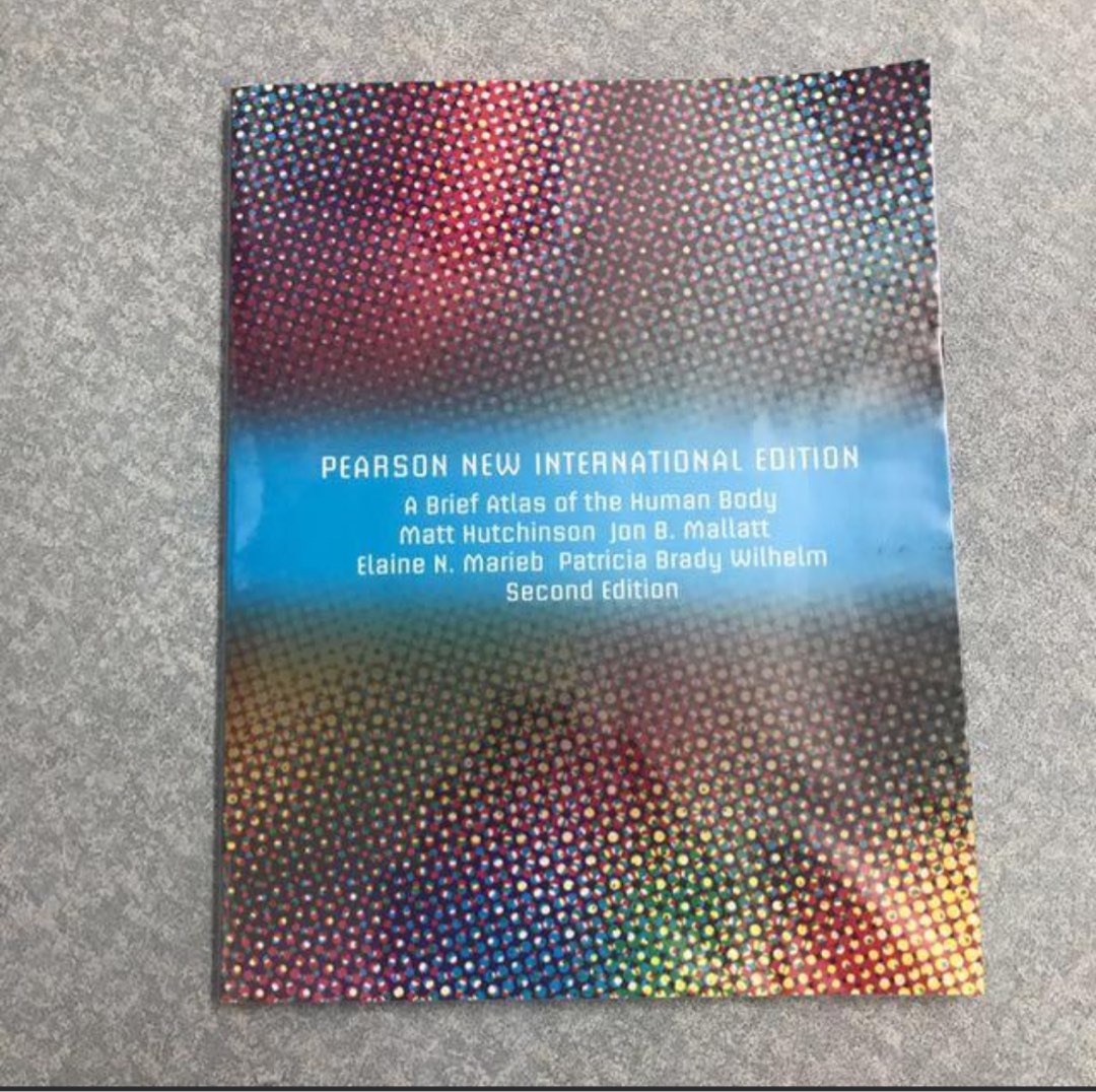 Anatomy Brief Atlas of the Human Body (ORIGINAL), Hobbies & Toys, Books ...