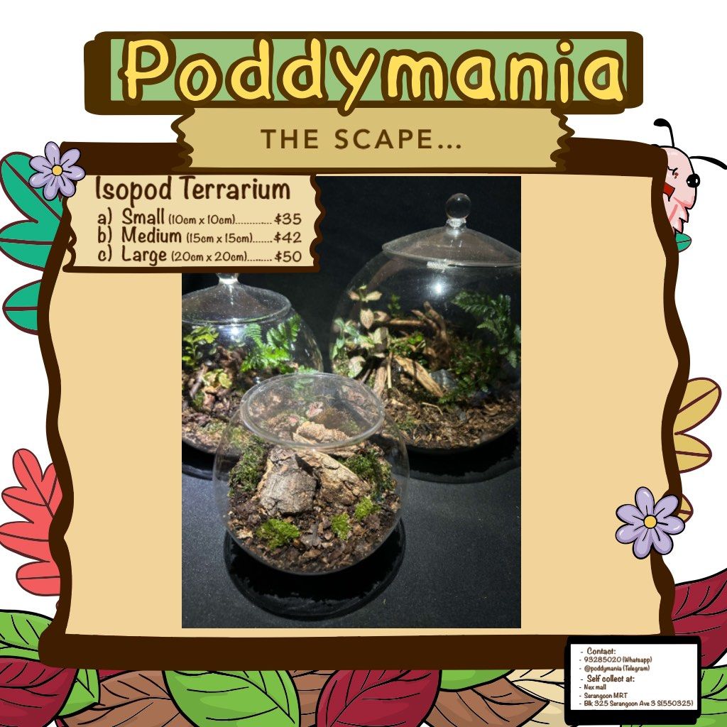 BioActive Isopod Terrarium | Habitat | Enclosure | Setup | Starter kit ...