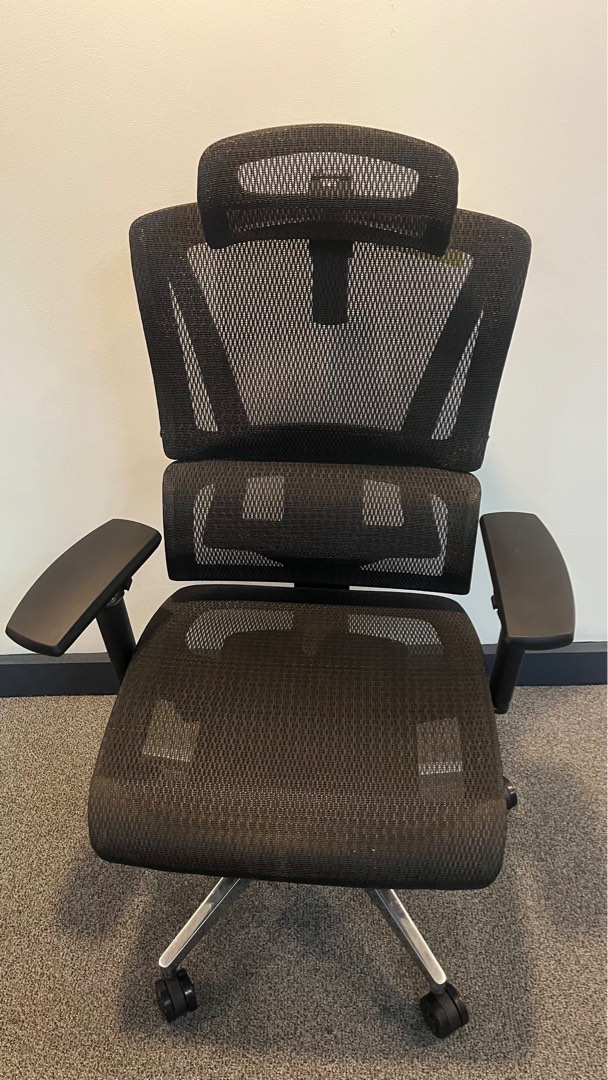 Ergonomic Office Chair - ErgoHome Ergoflex, Furniture & Home Living ...