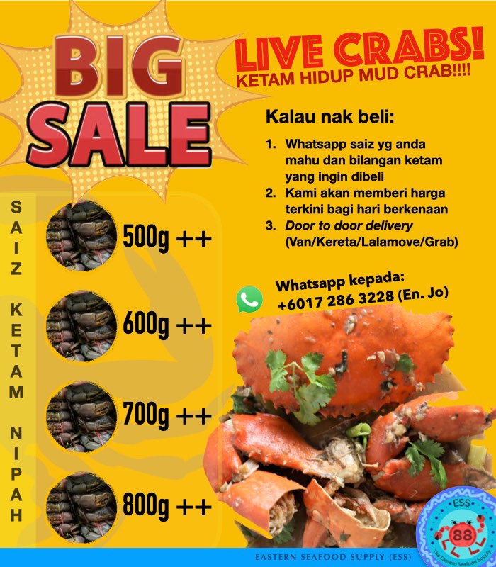 Ketam Nipah Hidup (Live Mud Crab) 500g, Food & Drinks, Fresh Produce on ...