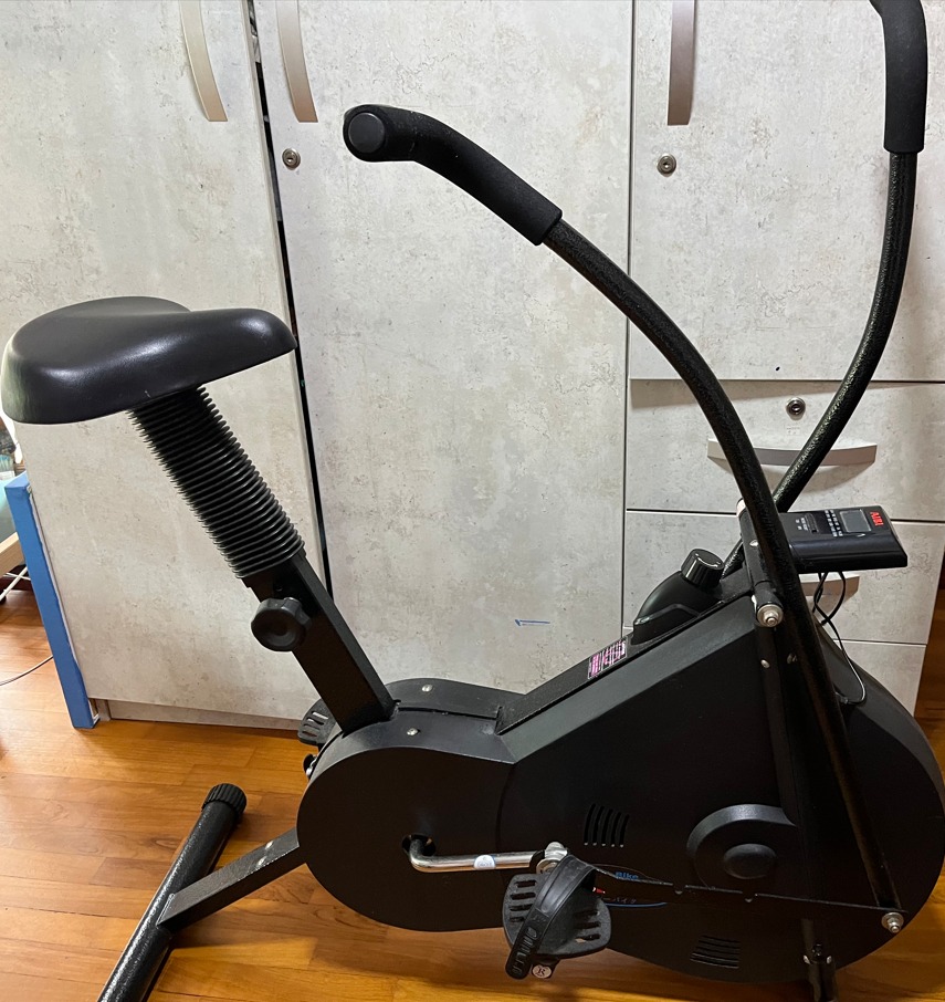 AIBI exercise bike, Sports Equipment, Exercise & Fitness, Cardio ...