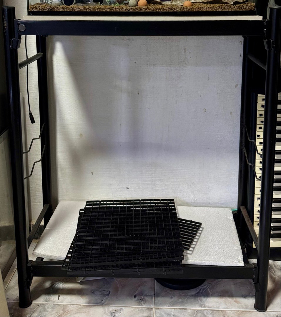 Fish Rack, Pet Supplies, Homes & Other Pet Accessories on Carousell