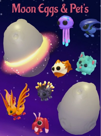 Moon Egg And Pets Adopt me royal Moon egg Moon Egg sunglider dimension drifter starmite puptune ...