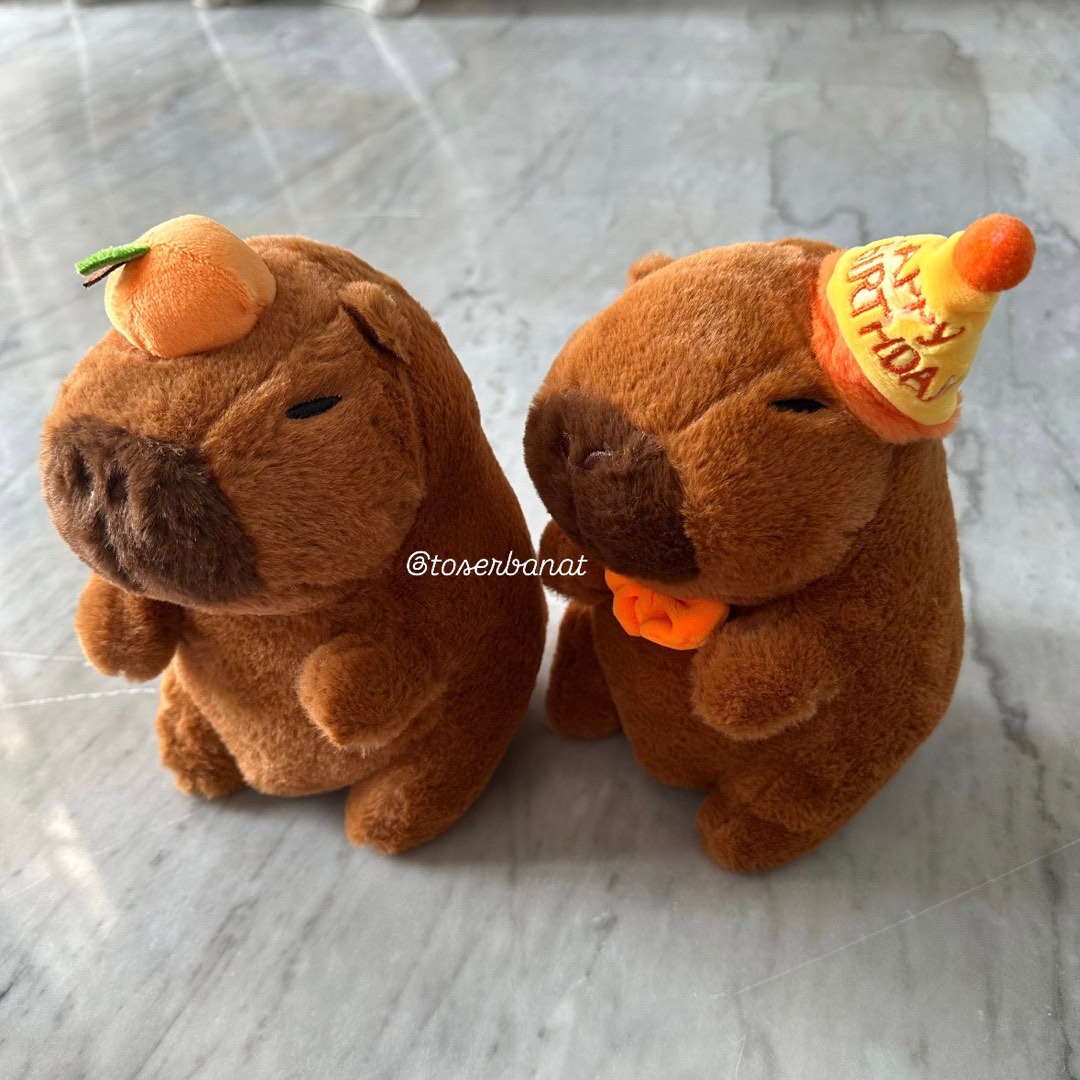 NEW Boneka capybara capibara kapibara baru mas bro ulang tahun bebek ...