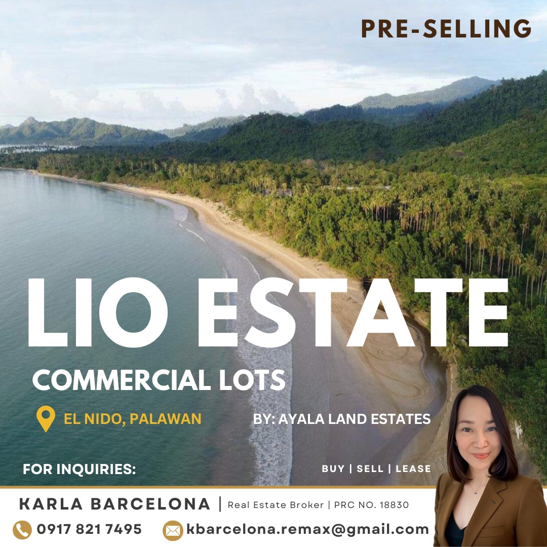 Premium Beach Commercial Lots for Sale at LIO Estate in El Nido Palawan ...