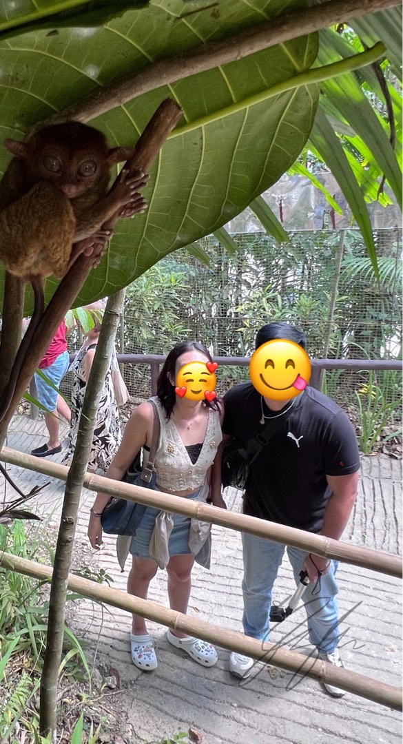 Zara crop top embroidered sea shells, Women's Fashion, Tops, Sleeveless ...