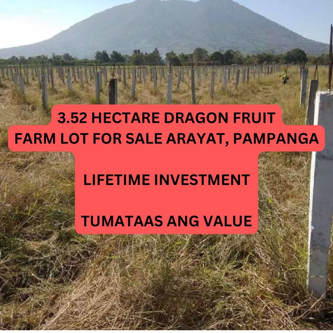 3.52 hectares Dragon fruit farm lot for sale Arayat Pampanga 400 peso ...