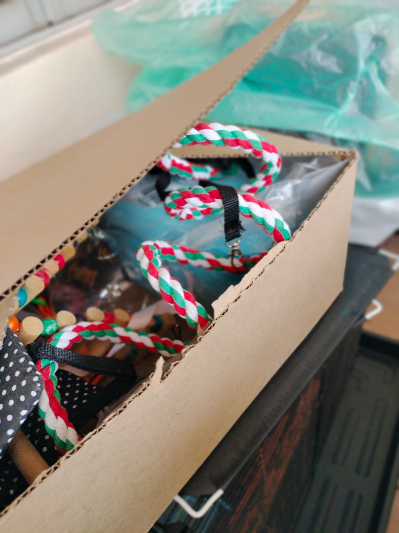 Cage and toys accessories and food.Cage is a bit rusty because it's ...