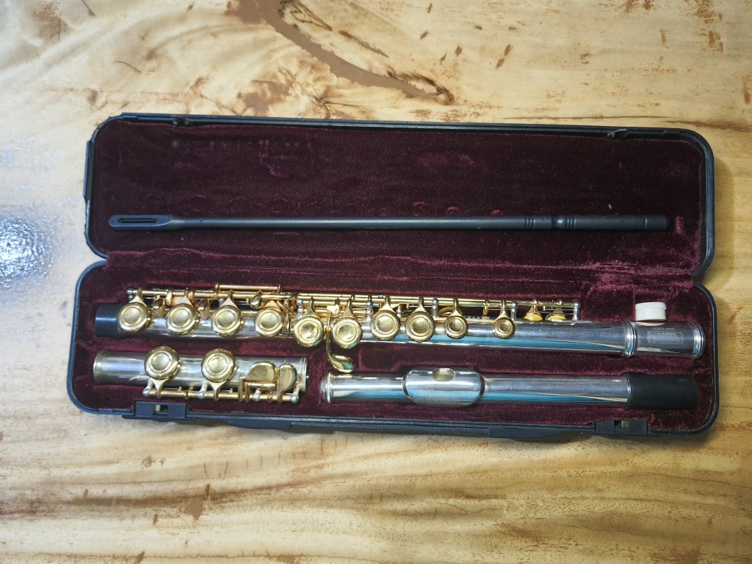 Concert Flute like Piccolo Recorder Flutes Violin Theater Music Theatre ...