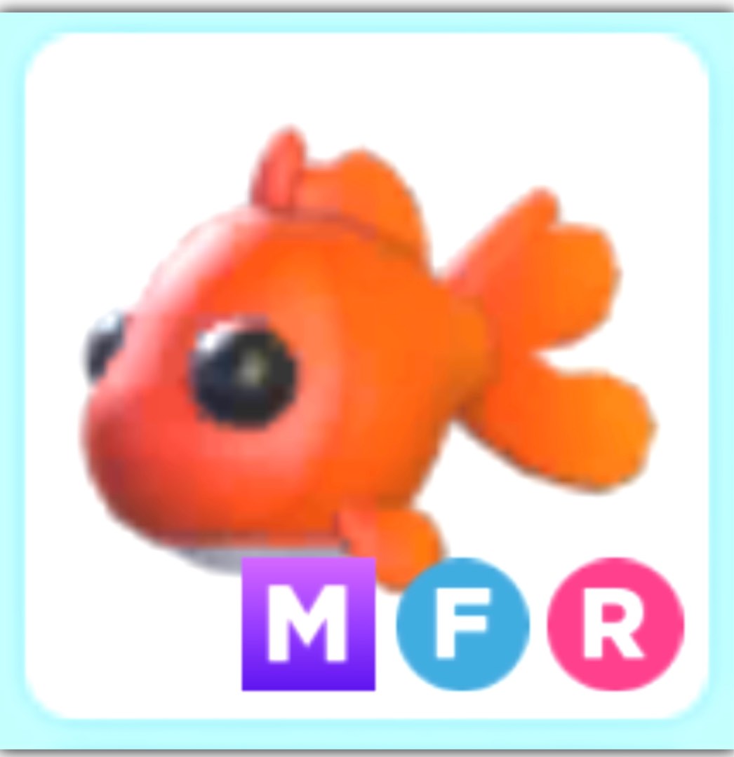 MEGA NEON FLY RIDE GOLDFISH ADOPT ME PETS, Video Gaming, Gaming ...