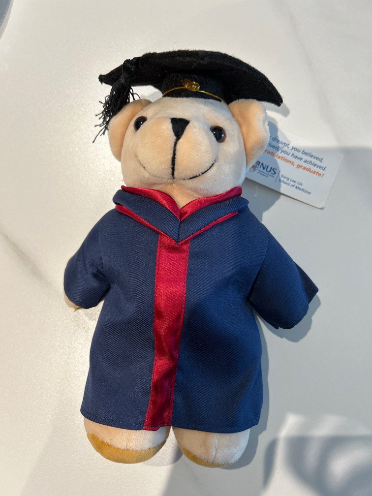 NUS Graduation Bear, Hobbies & Toys, Toys & Games on Carousell