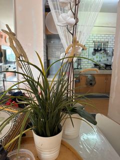 Hooga Vase, Furniture & Home Living, Home Decor, Vases & Decorative ...