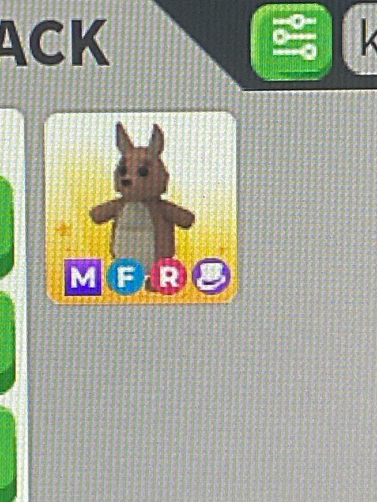 Mega Kangaroo, Video Gaming, Gaming Accessories, In-Game Products on ...