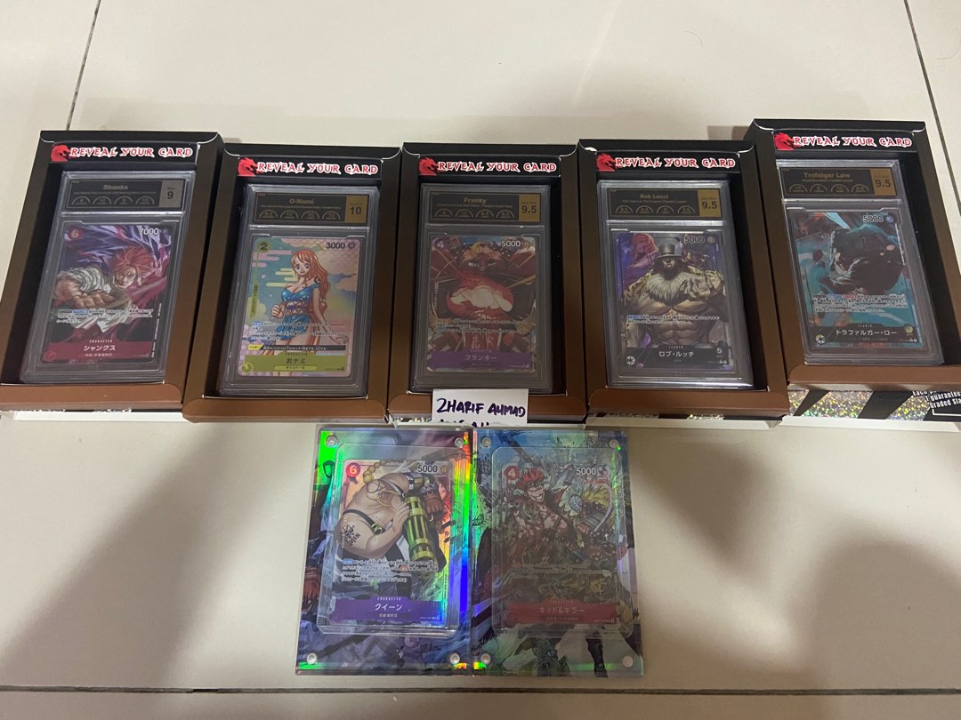 PCG SLAB ONE PIECE, Hobbies & Toys, Toys & Games on Carousell