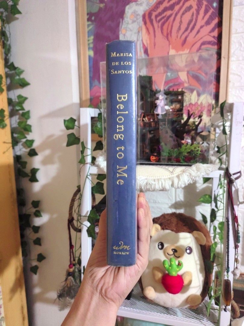 Belong to Me (Hardbound) Novel Book by Marisa De Los Santos, Hobbies ...