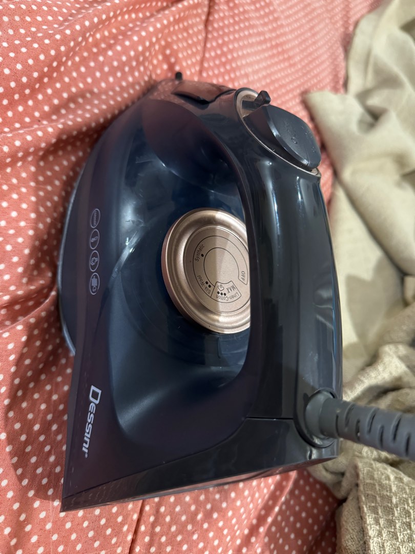Dessini Steam Iron, TV & Home Appliances, Electrical, Adaptors ...