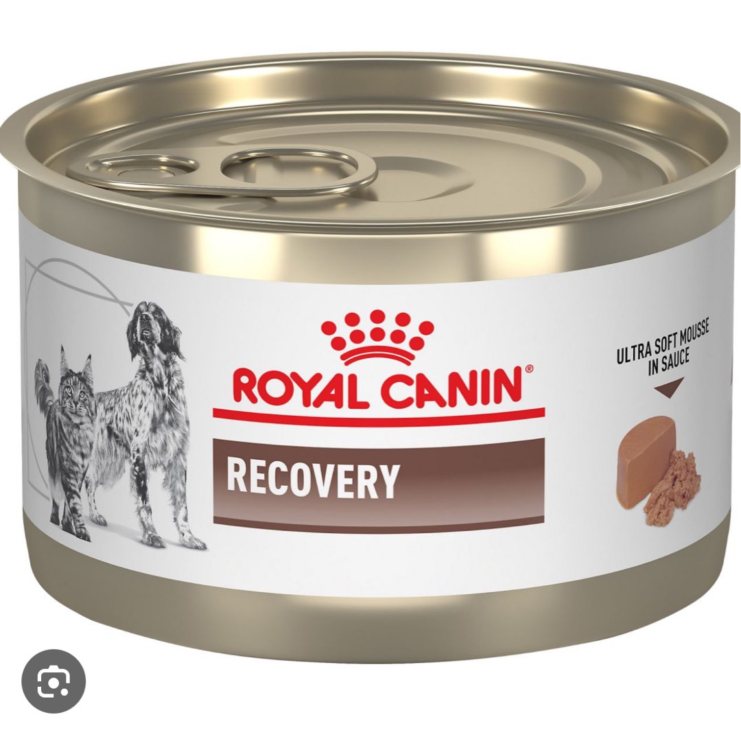 Royal Canin Recovery Wet Food, Pet Supplies, Pet Food on Carousell