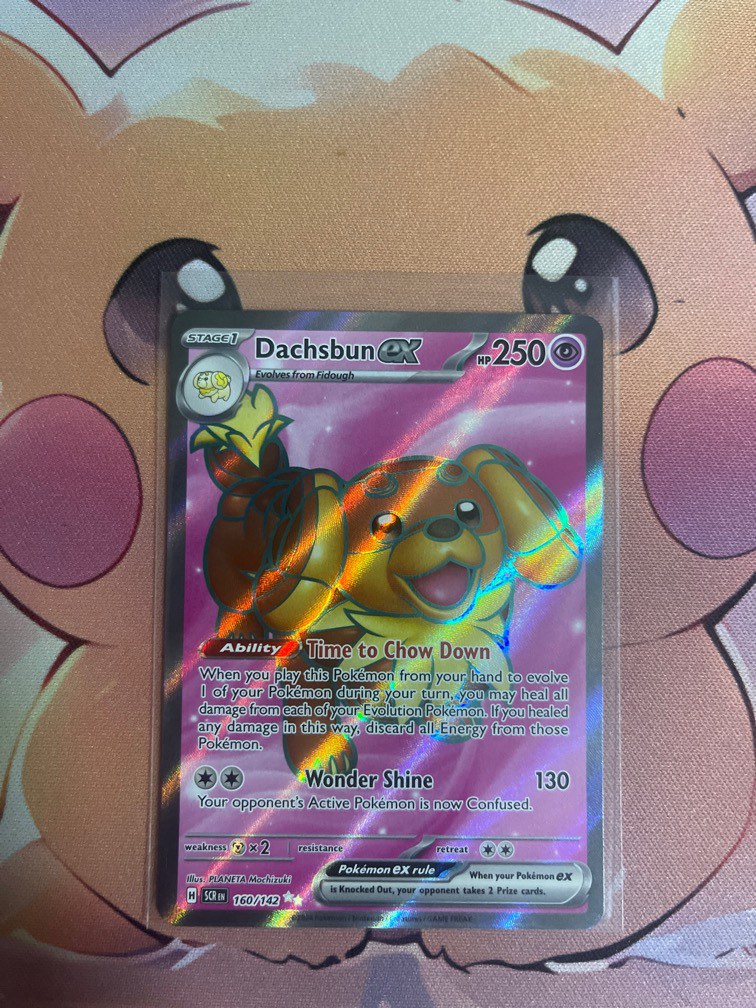 WTS/WTT Dachsbun EX #160/142 Stellar Crown English Pokemon Cards TCG ...