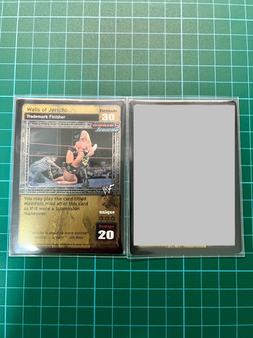 WWF WWE RAW DEAL WALLS OF JERICHO CHRIS JERICHO CARD, Hobbies & Toys ...