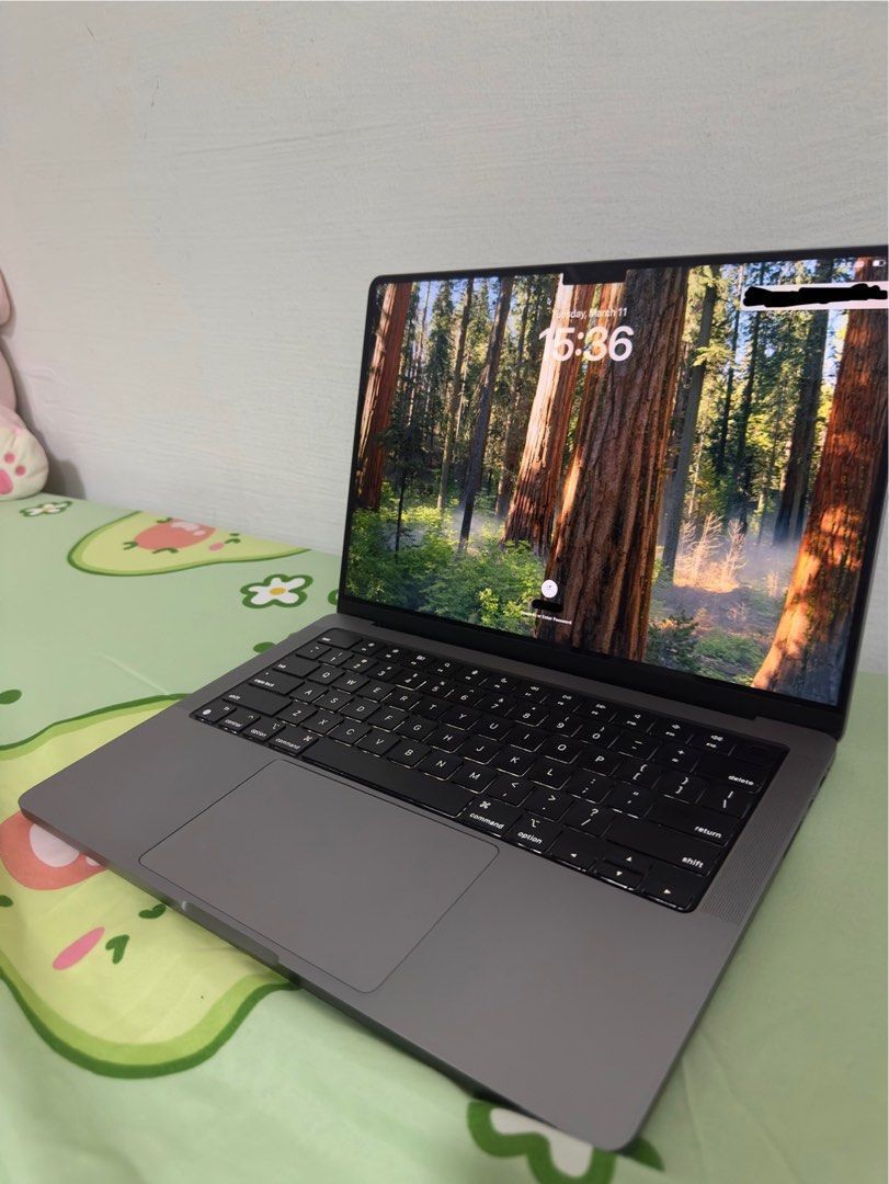 Apple Macbook M1 Pro | 16GB RAM | 512GB SSD | 90% Battery Health (111 ...