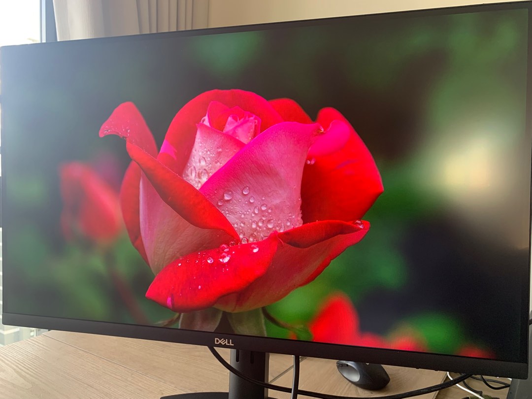 Dell 27 inch monitor screen with warranty ips led, Computers & Tech ...