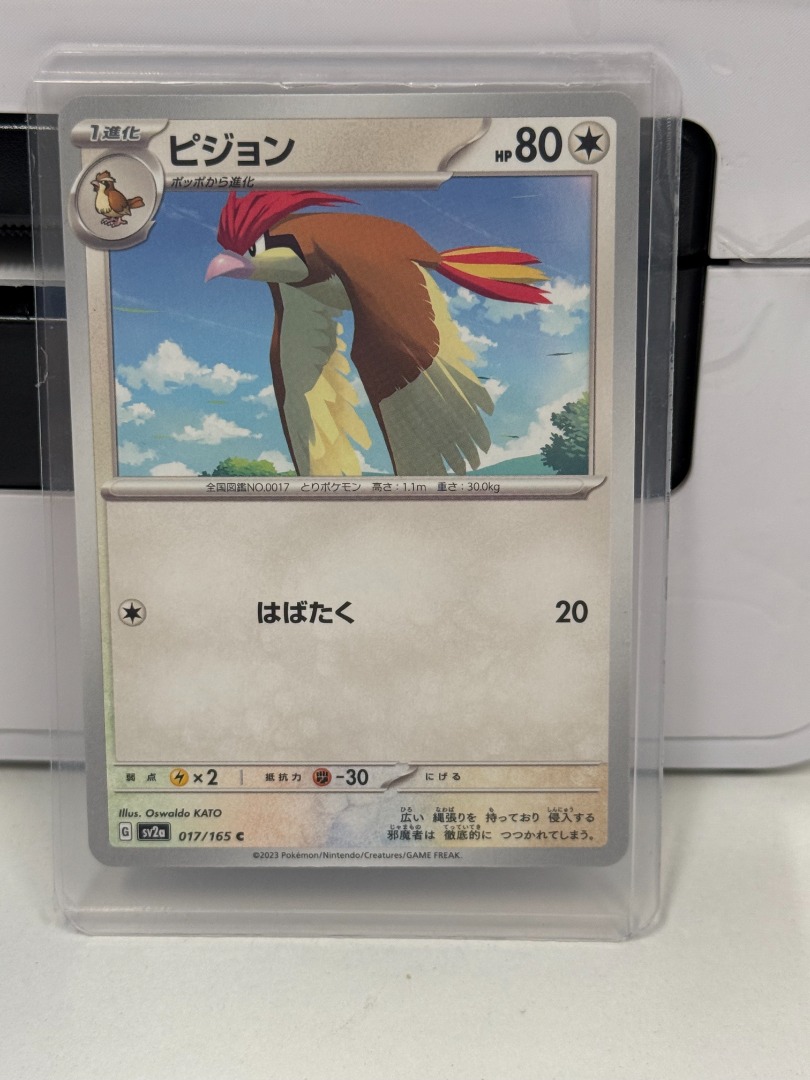 pidgeotto holo
