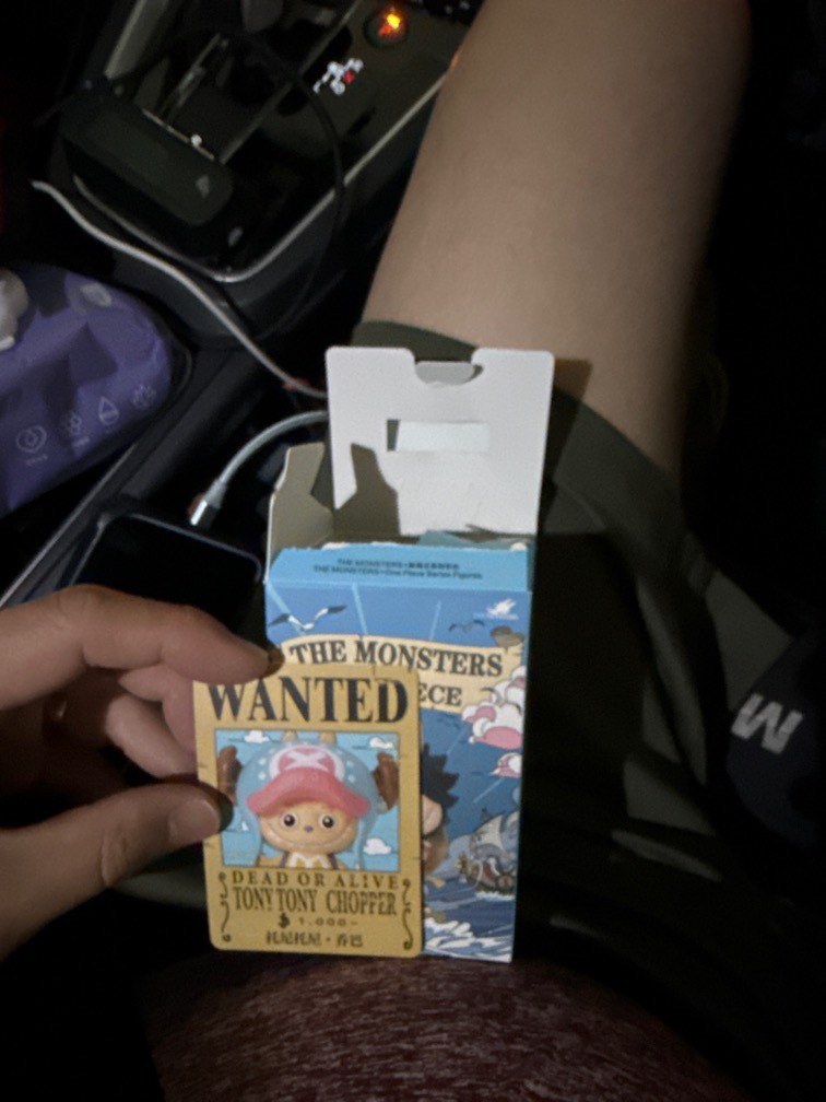 (BNIF) Labubu One piece Chopper, Hobbies & Toys, Toys & Games on Carousell