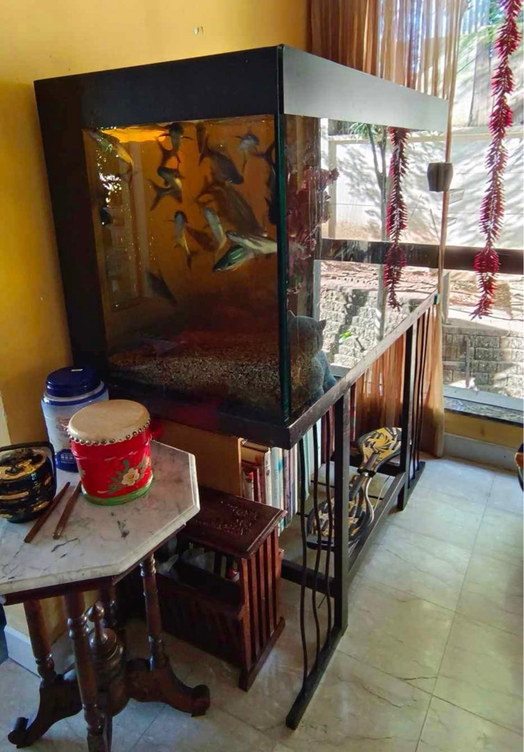 Crack Terrarium Tank 2.5ft tall x 4ft long x 2 ft deeo, Everything Else ...