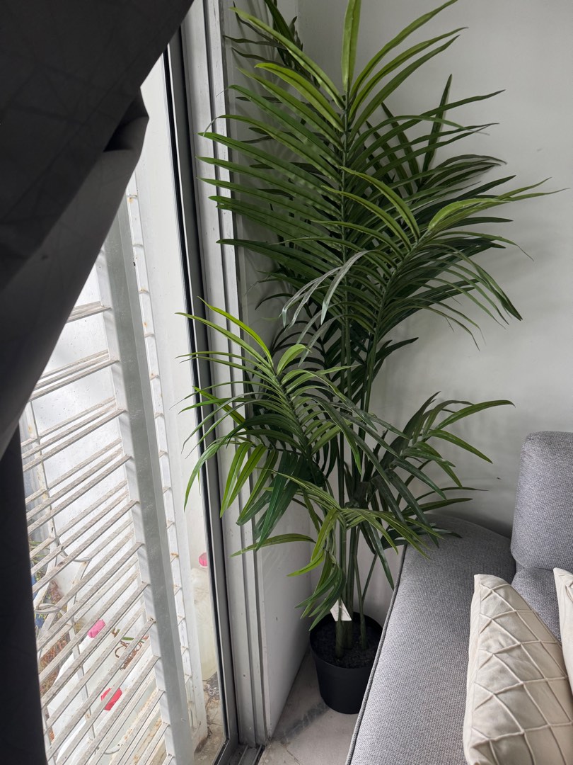 Fejka ikea palm tree artificial, Furniture & Home Living, Home Decor, Artificial Plants ...