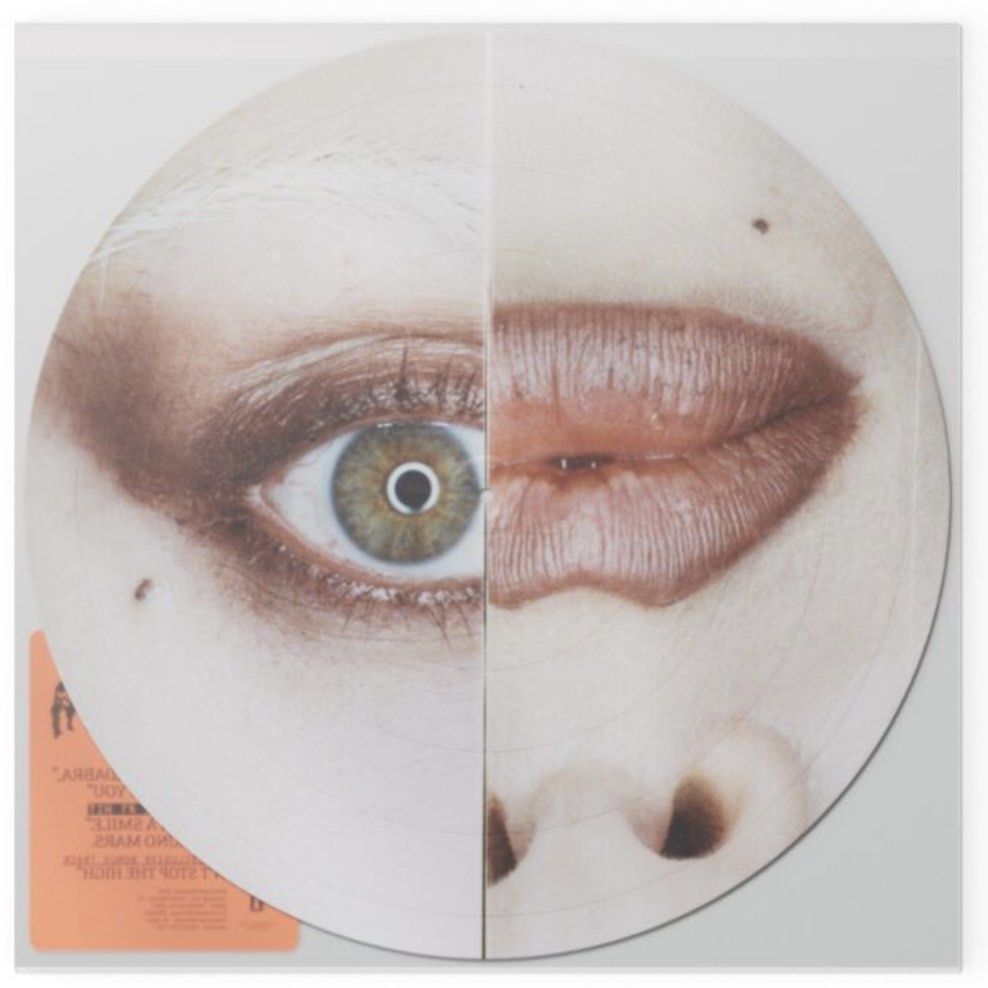 [現貨]Lady Gaga Mayhem store exclusive 162 picture disc vinyl 2LP 官網圖畫膠 ...