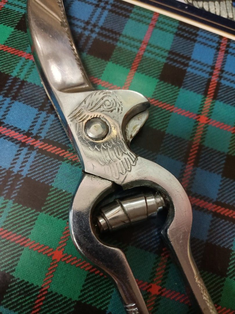 Rare Vintage Eagle Poultry Scissors foreign Germany heavy, Everything ...