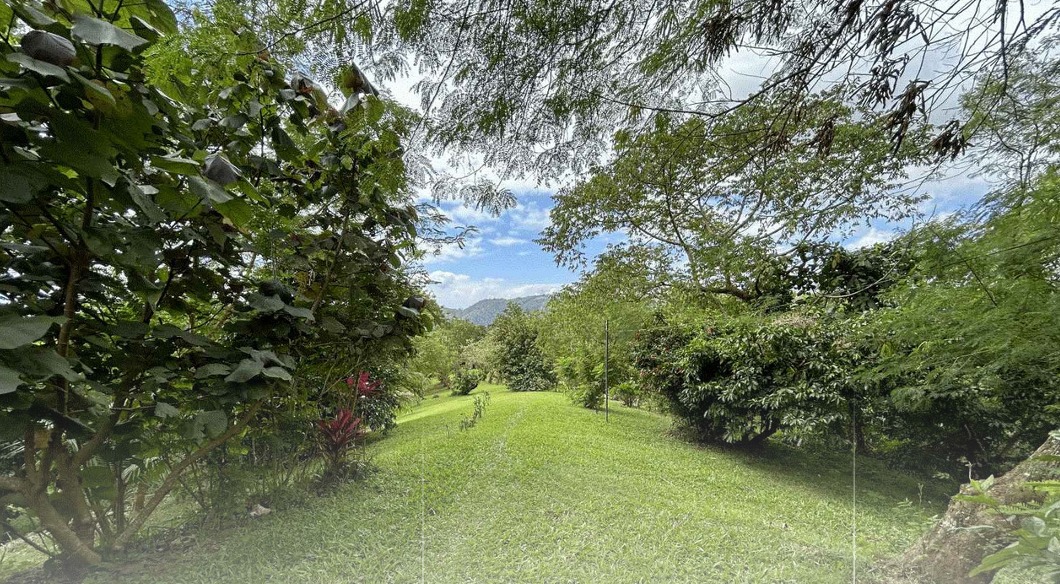 Tagaytay Overlooking Lot for Sale, Property, For Sale, Lot on Carousell