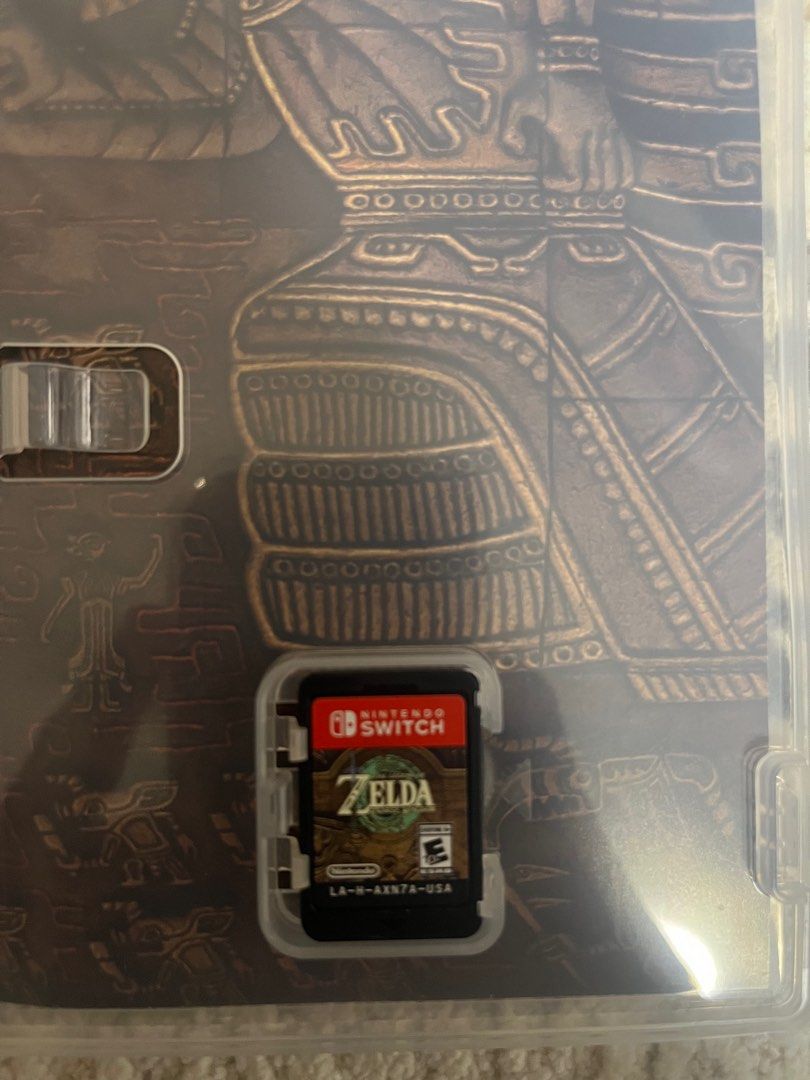 Zelda (TOTK) & Pokemon Arceus, Video Gaming, Video Games, Nintendo on ...