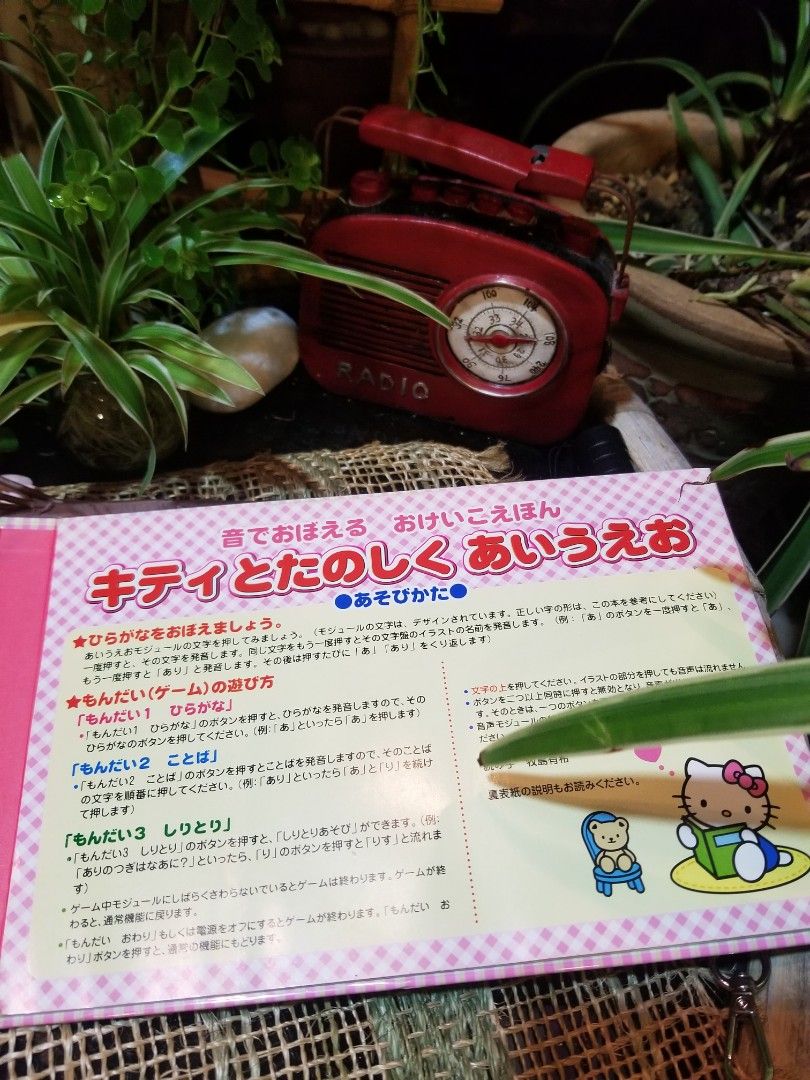 Japan Sanrio Have Fun Learning Alphabet with Hello Kitty, Hobbies ...