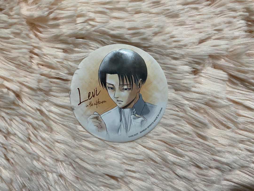 Levi ackerman/attack on titan/aot/shingeki ni kyogin/anime, Hobbies ...