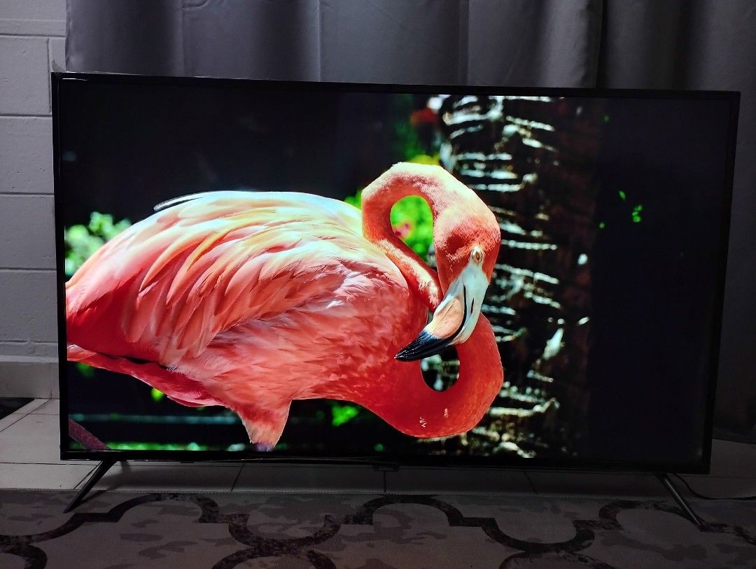 Philips LED 55 Inchi, TV & Home Appliances, TV & Entertainment, TV on ...