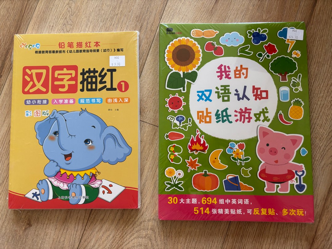 Chinese reading and writing resources, Hobbies & Toys, Books ...
