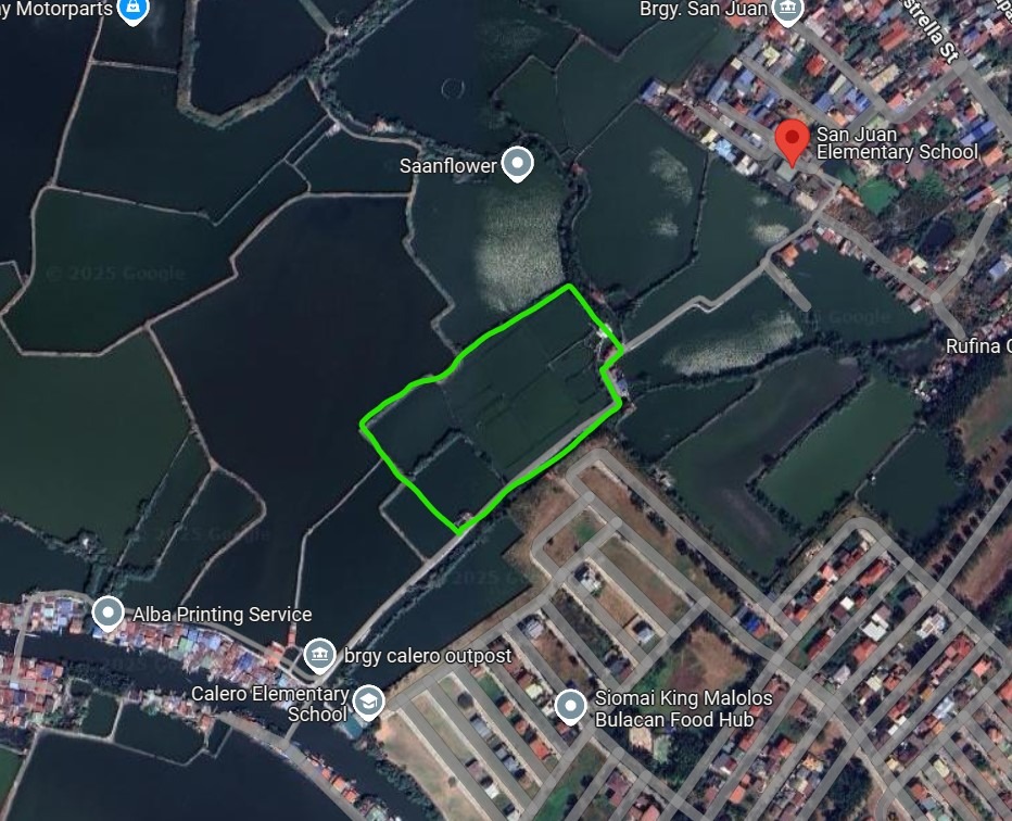 Irrigated Agricultural Land for Sale or Lease - San Juan, Malolos City ...