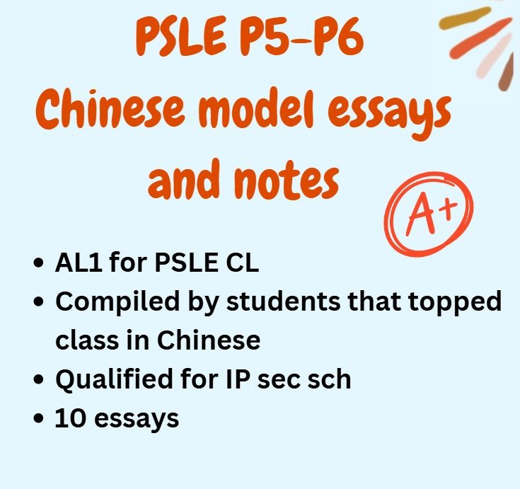 PSLE Chinese model essays, Hobbies & Toys, Books & Magazines ...
