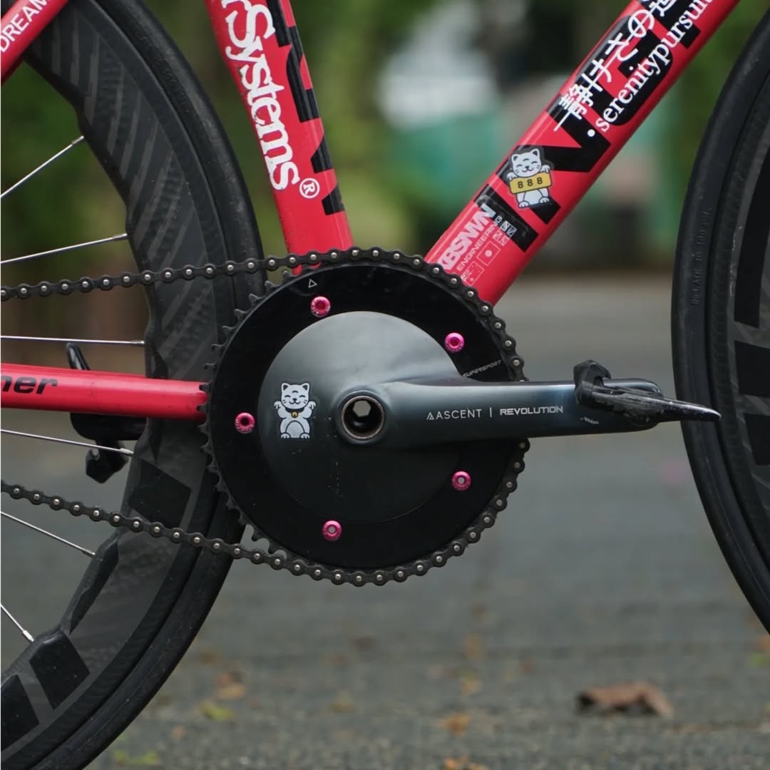 Ascent Revolution Crankarms | Crankset CS fixie fixed gear track crank ...